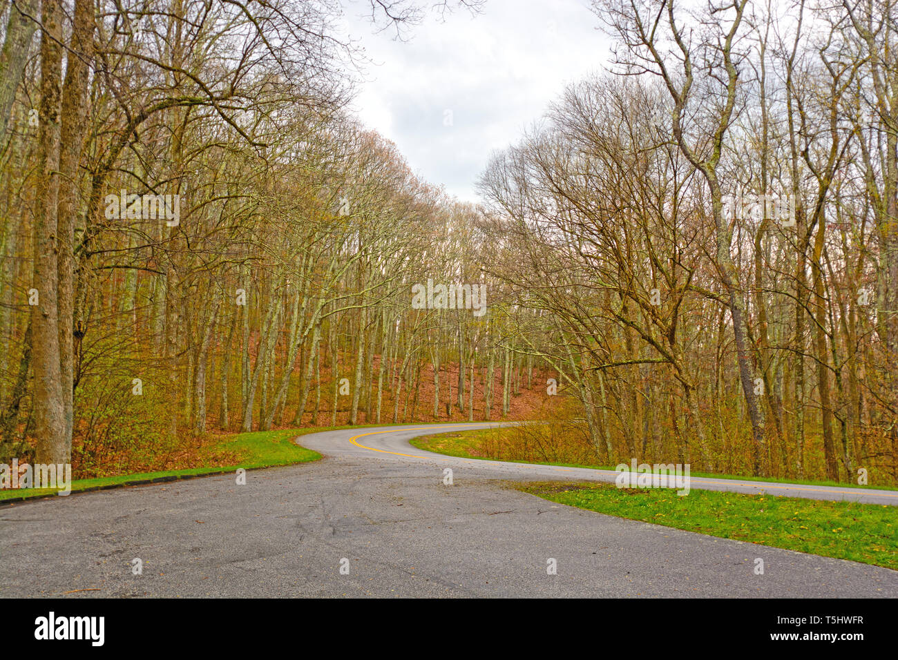 Blue ridge mountains virginia road hi-res stock photography and images ...