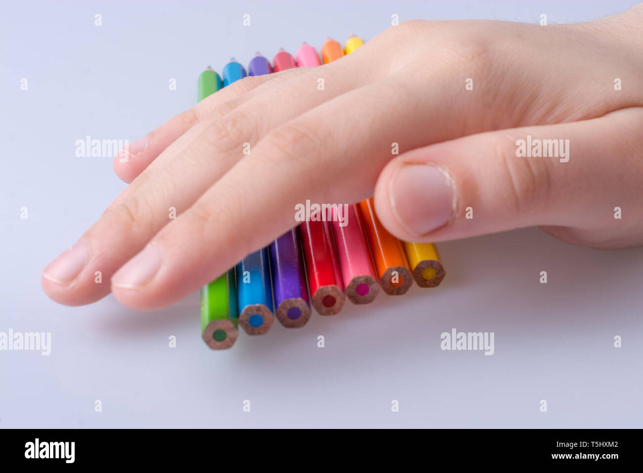 Hand holding color Pencils placed on a white background Stock Photo - Alamy