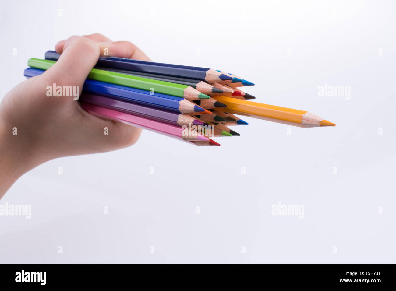 Hand holding color pencils on a white background Stock Photo - Alamy