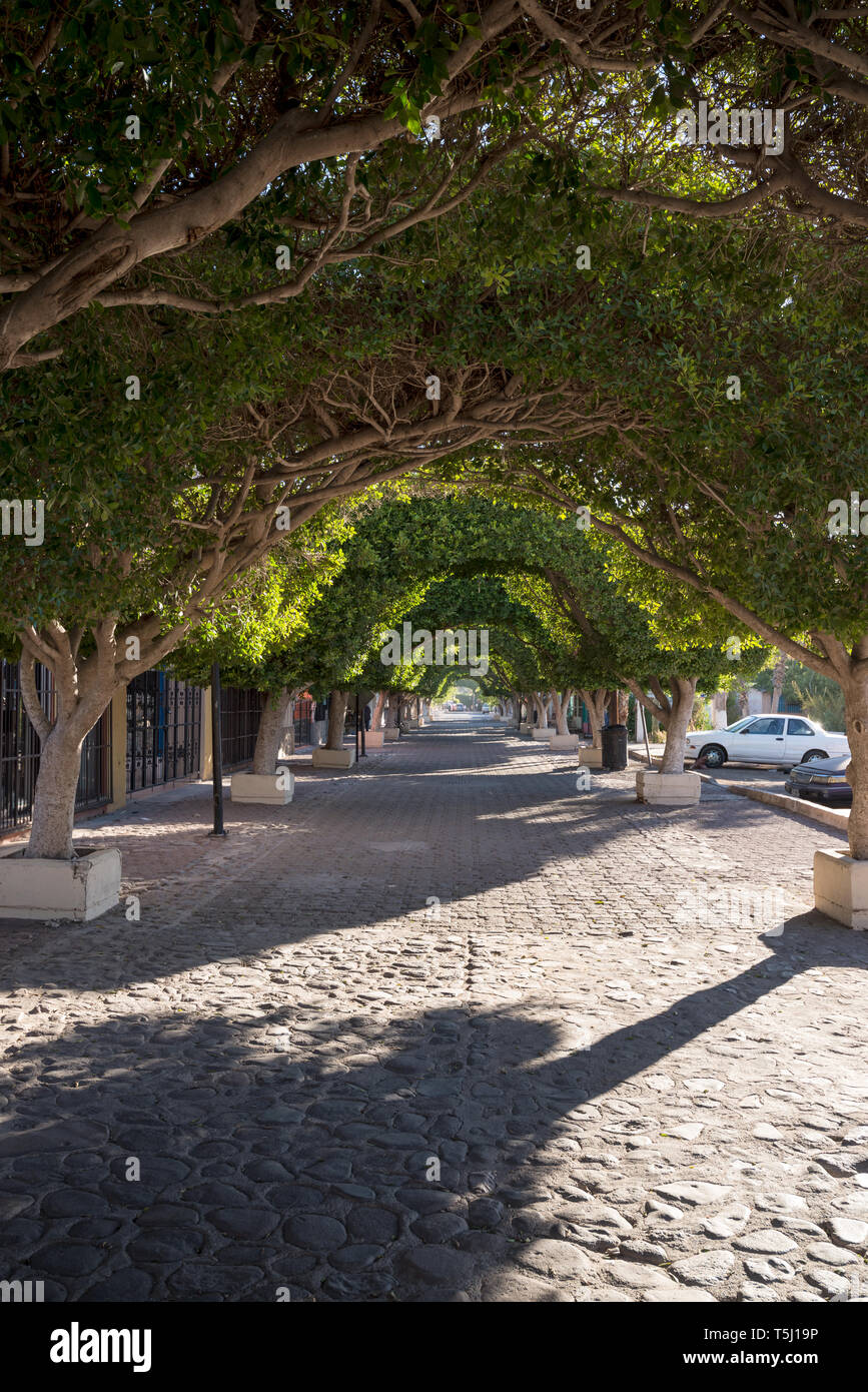 Tree topiary hi-res stock photography and images - Alamy