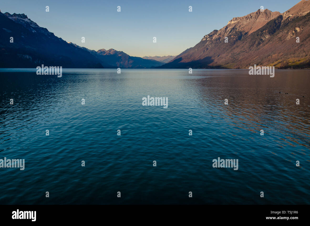 Lake brienz winter hi-res stock photography and images - Alamy
