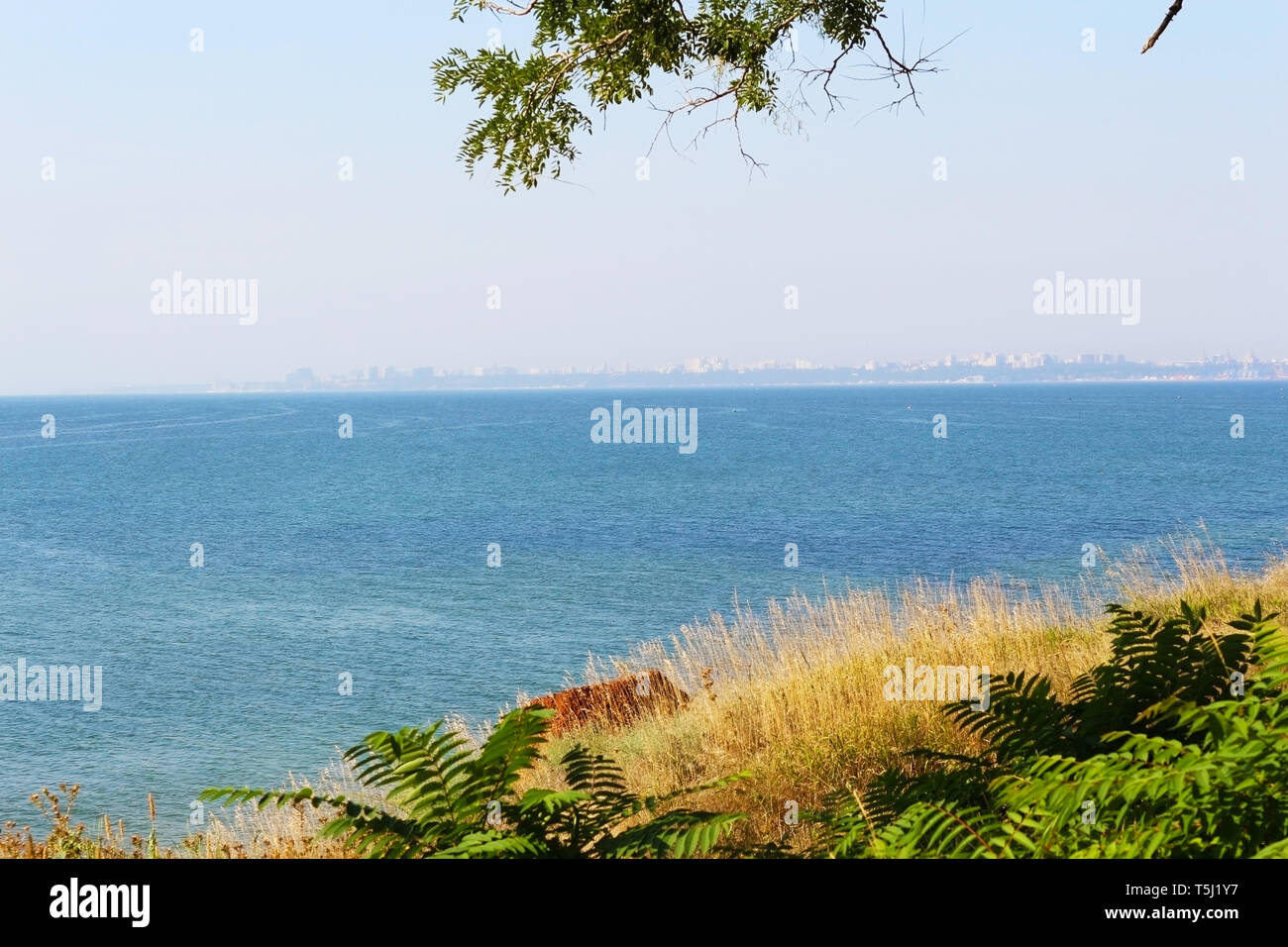 View into the distance on precipice above sea Stock Photo - Alamy