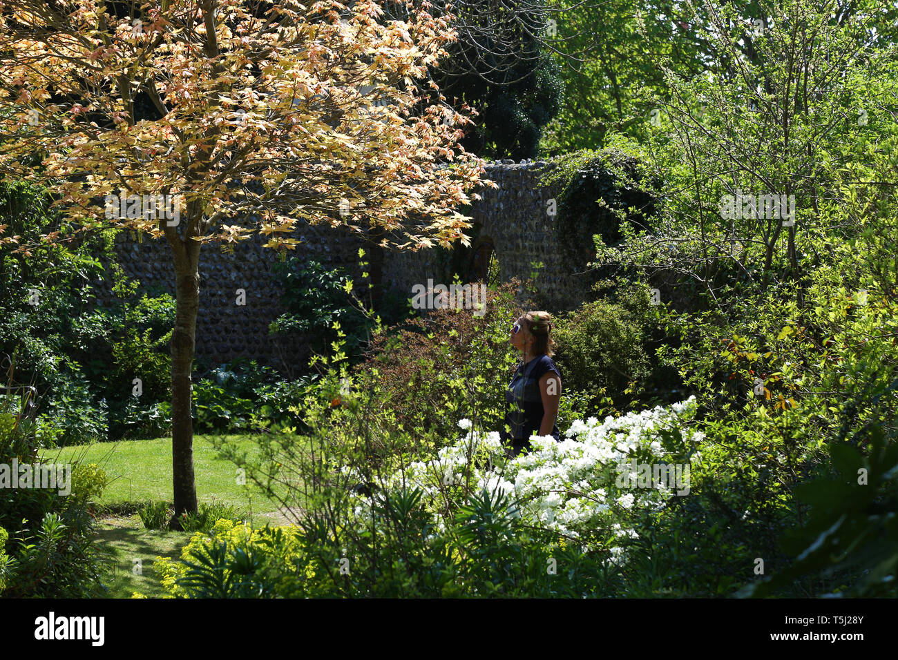 a young woman standing inside the Kipling gardens, Rottingdean ...
