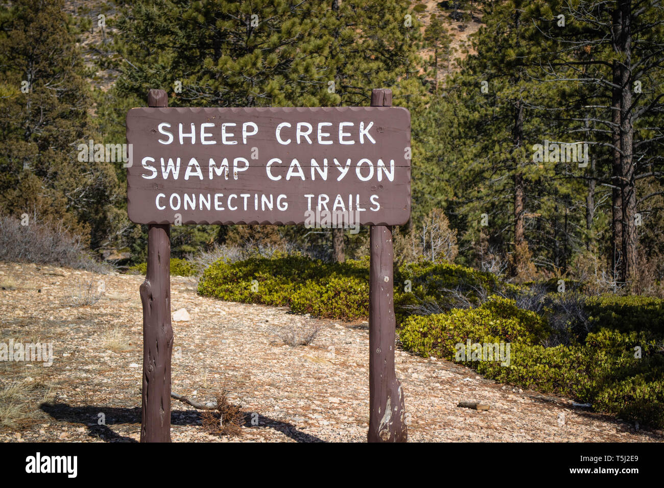 Bryce Canyon National Park, UT, USA - March 25, 2018: The Sheep Creek ...