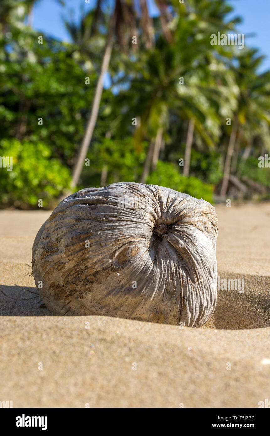 Nagtabon Beach on Palawan Island Stock Photo - Alamy