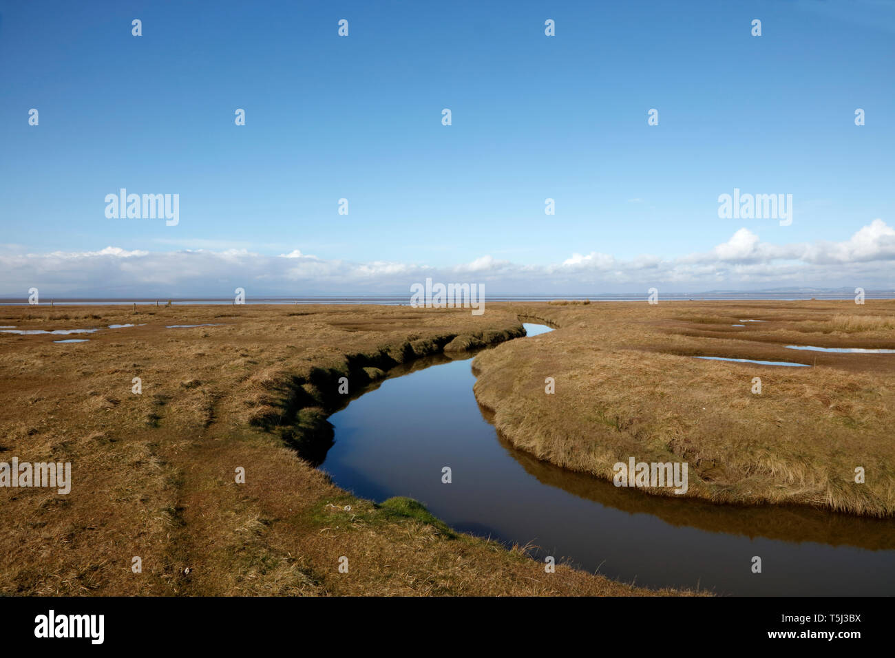 Cardurnock Flatts on the Solway Firth, Cumbria, England, UK Stock Photo ...