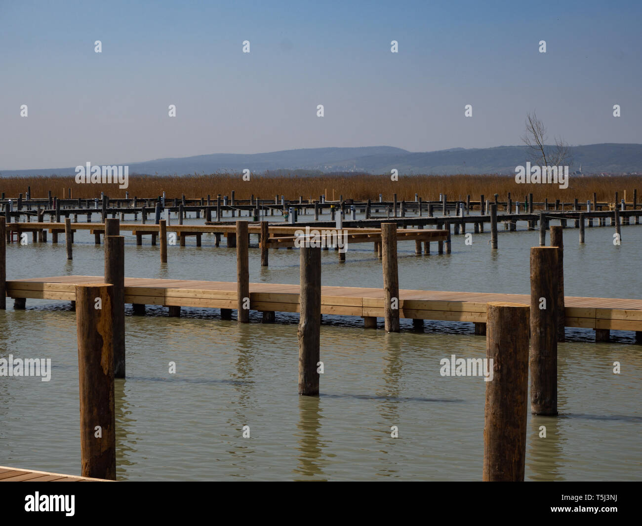 Timber pile bridge hi-res stock photography and images - Alamy