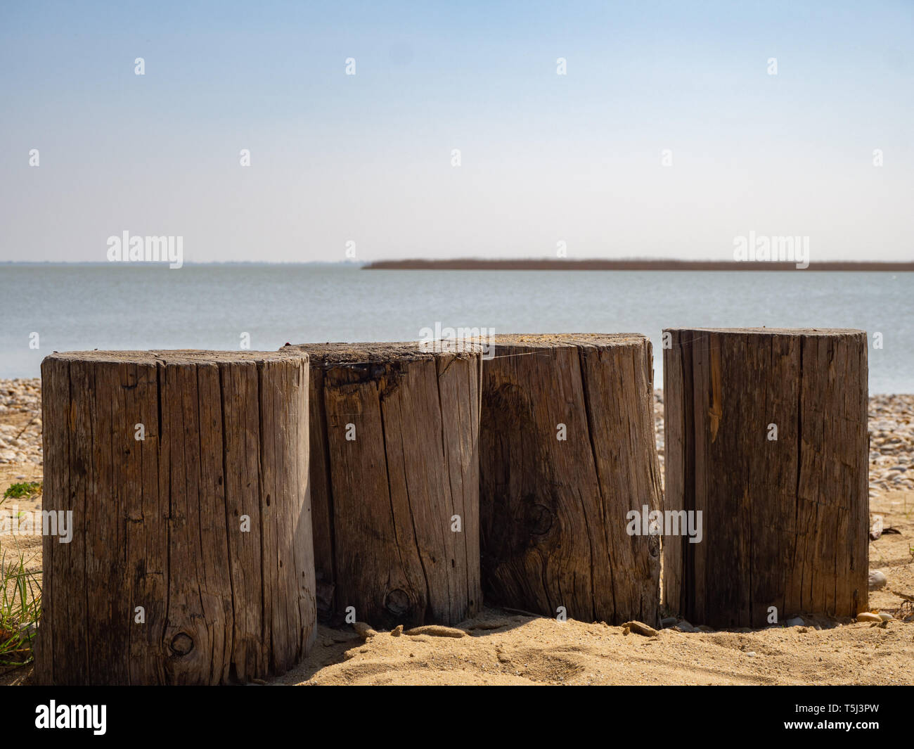 Timber on beach hi-res stock photography and images - Alamy