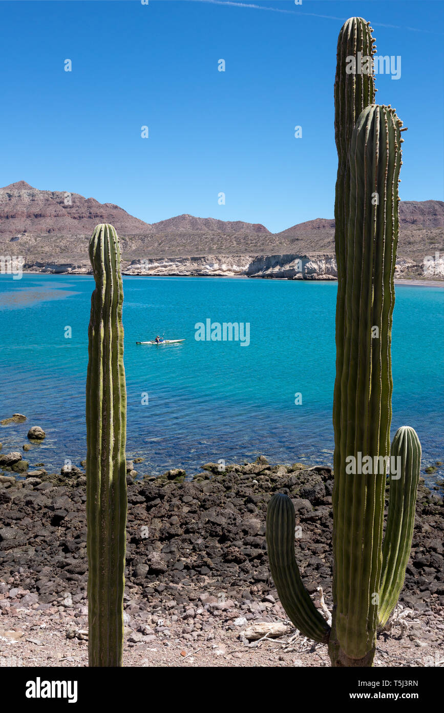 Sea kayaking, Bay of Loreto National Park, Baja California Sur, Mexico ...