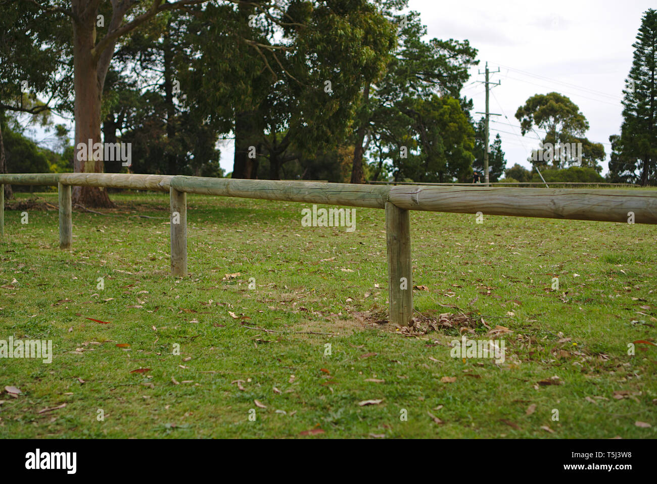 Wooden gate on green grass with softly blurred trees and white sky at ...