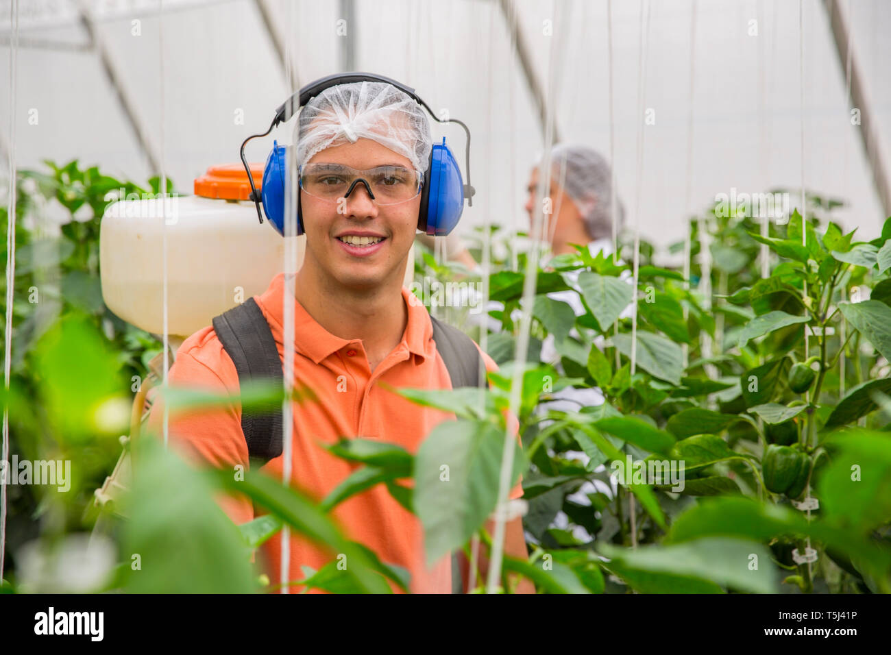 Fertilizer for plants hi-res stock photography and images - Alamy