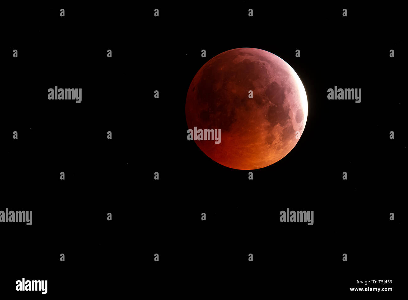 Germany, Frankfurt on Main, total lunar eclipse Stock Photo - Alamy