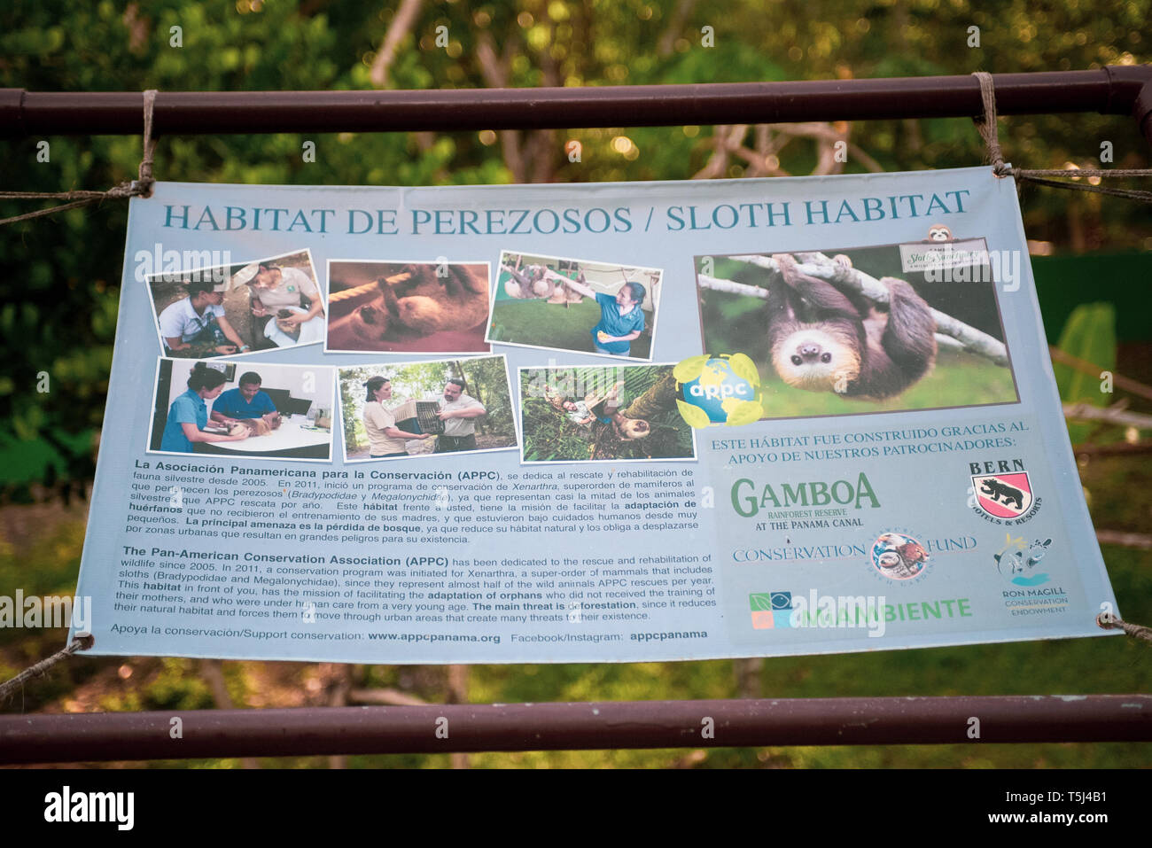 Gamboa Rainforest Reserve at the Panama Canal Sloth Sanctuary ...