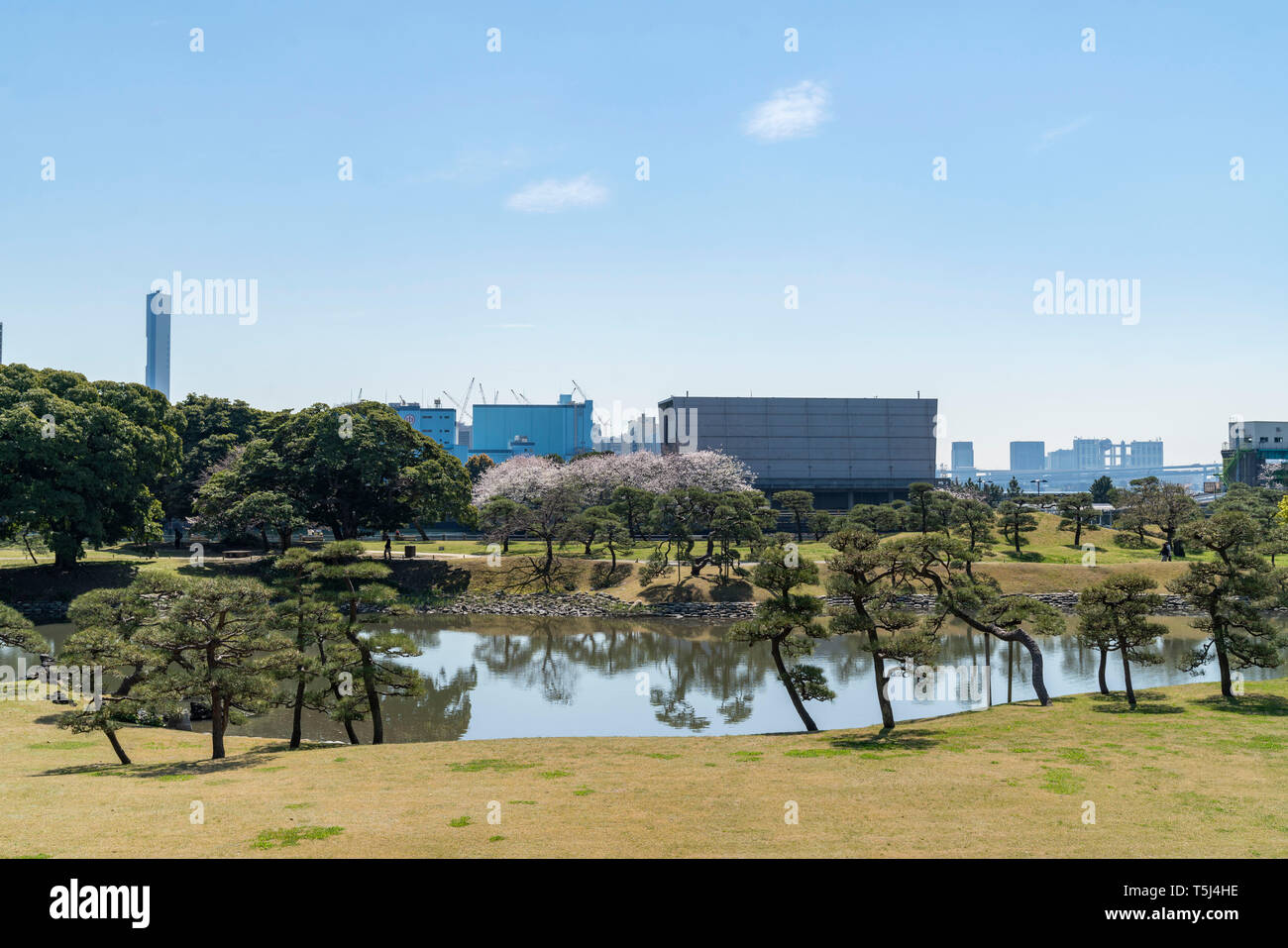 Hamarikyu teien hi-res stock photography and images - Alamy