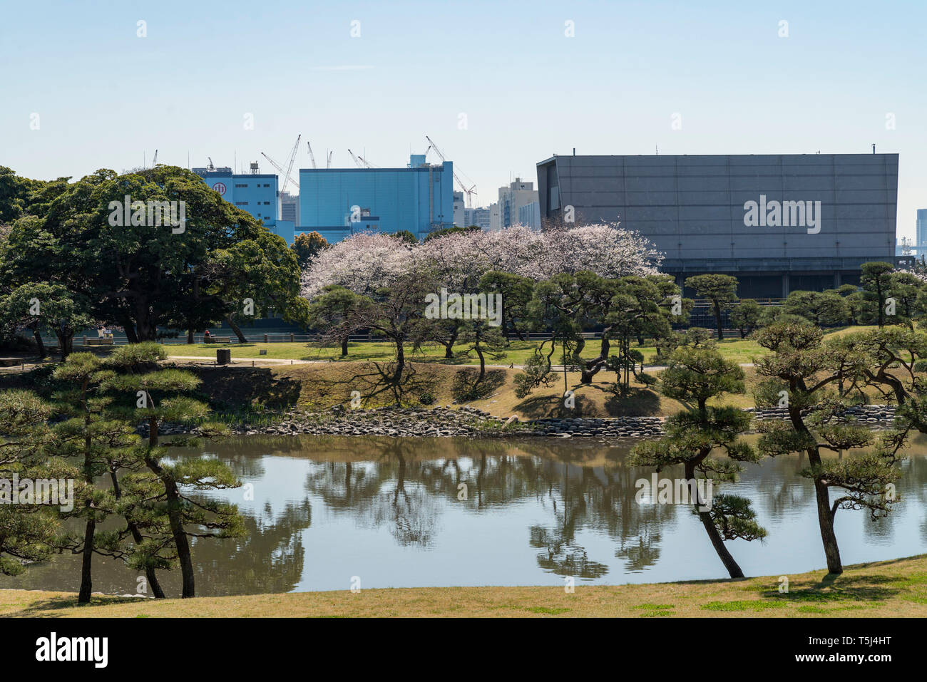 Hamarikyu teien hi-res stock photography and images - Alamy