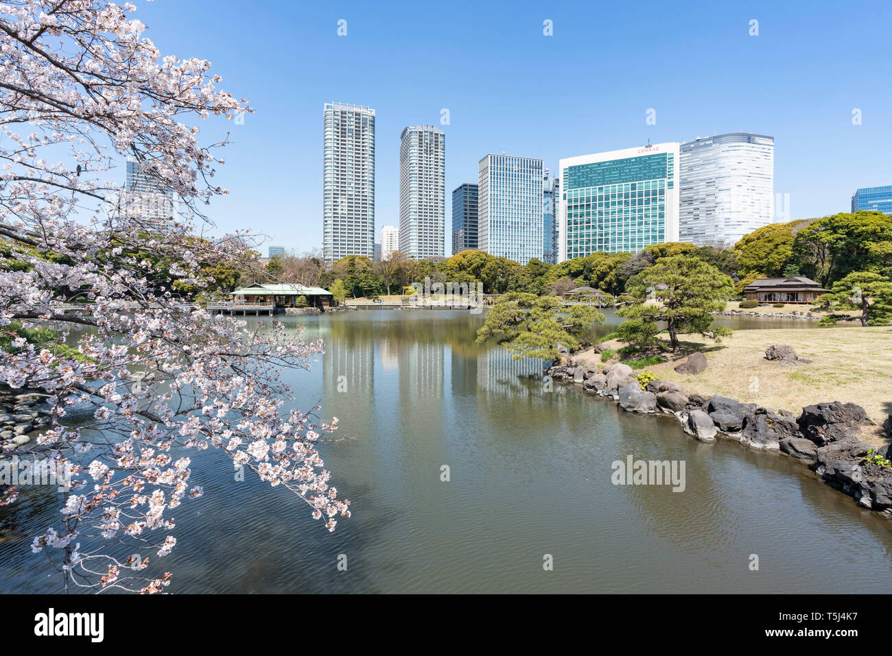Hamarikyu Gardens, Chuo-Ku, Tokyo, Japan Stock Photo - Alamy