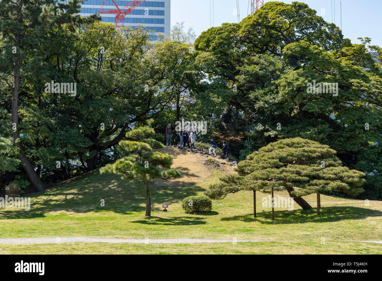Hamarikyu teien gardens hi-res stock photography and images - Alamy