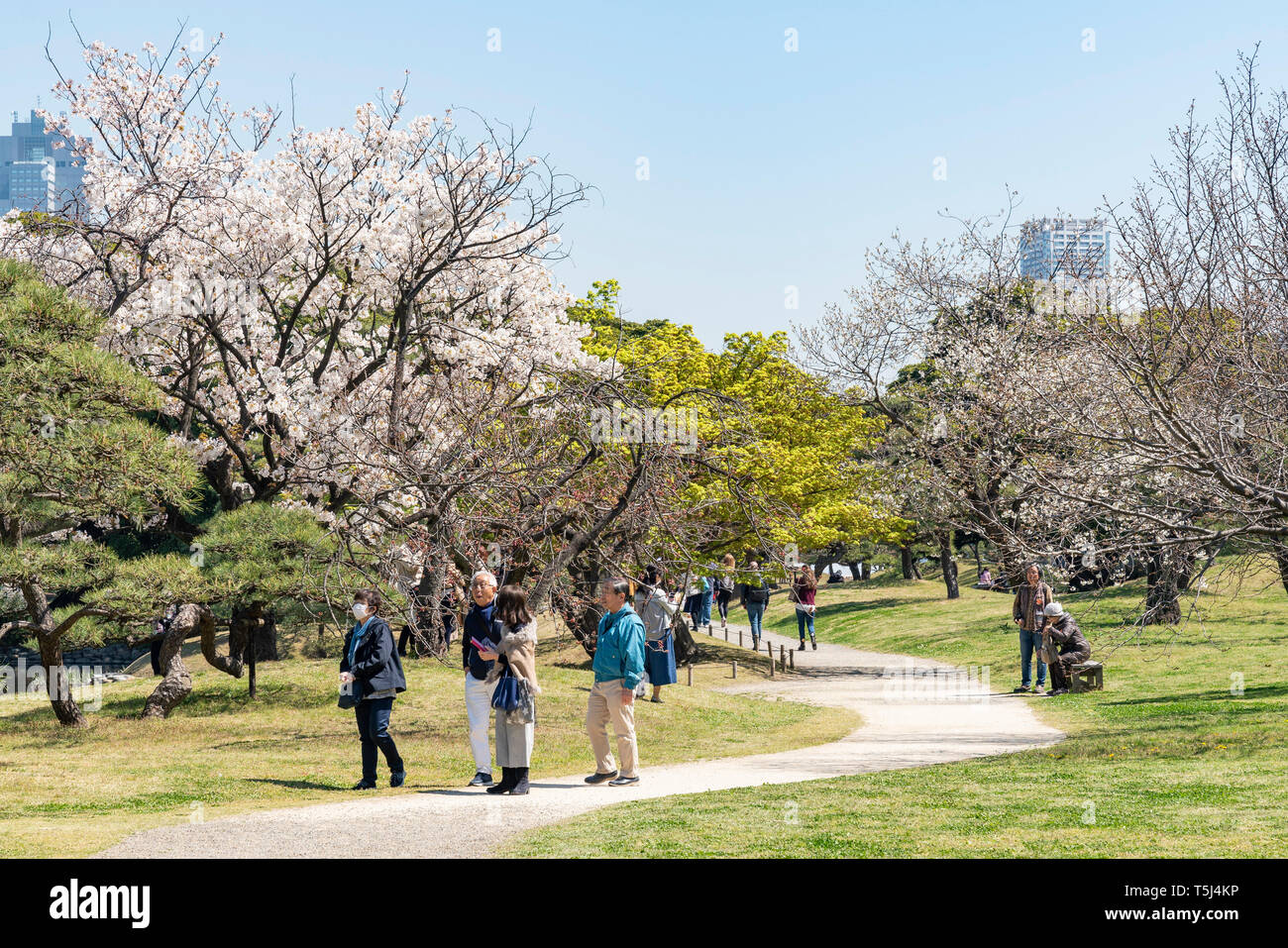 Hamarikyu teien gardens hi-res stock photography and images - Alamy