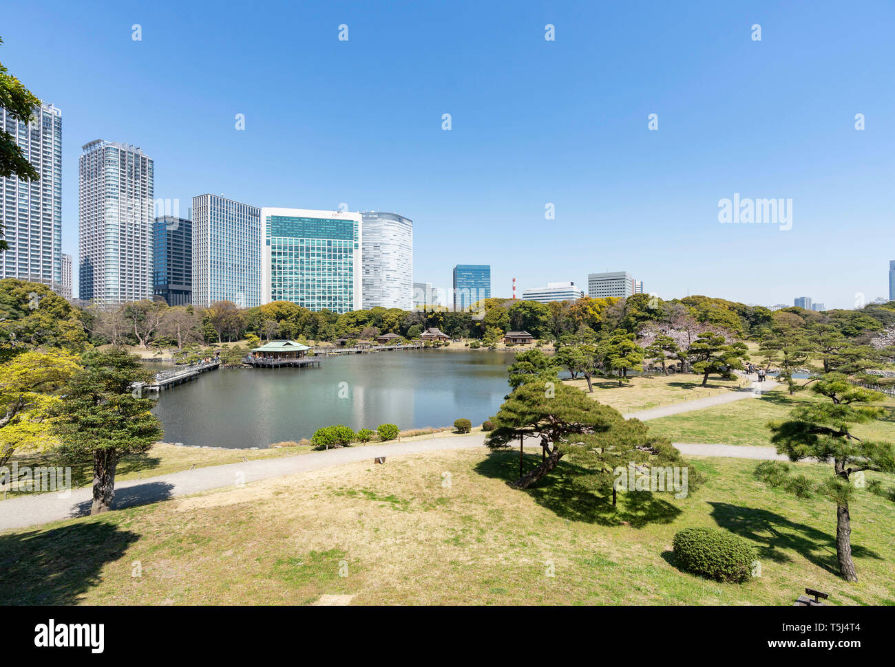 Hamarikyu Gardens, Chuo-Ku, Tokyo, Japan Stock Photo - Alamy