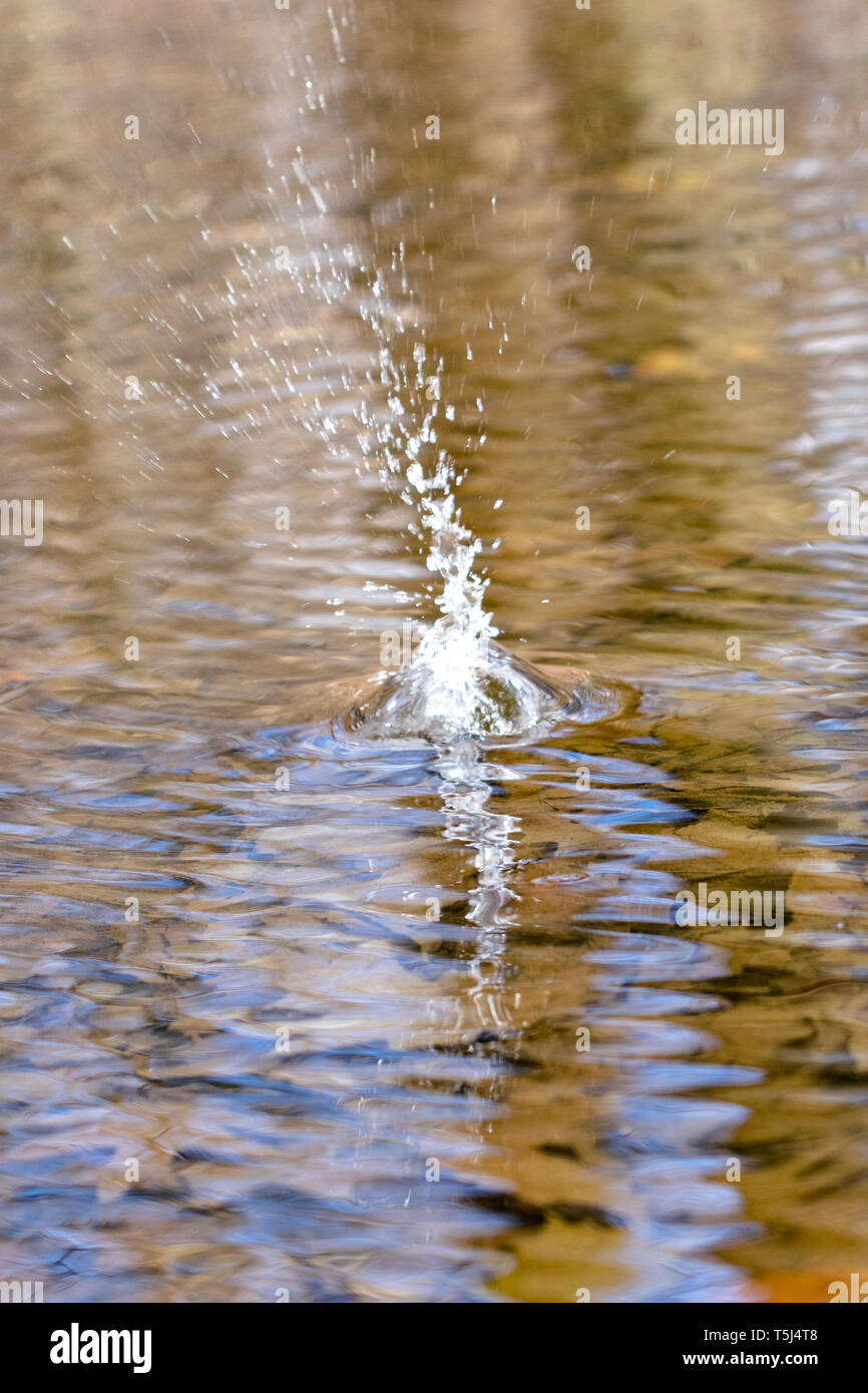 Water Sprays High Resolution Stock Photography and Images - Alamy