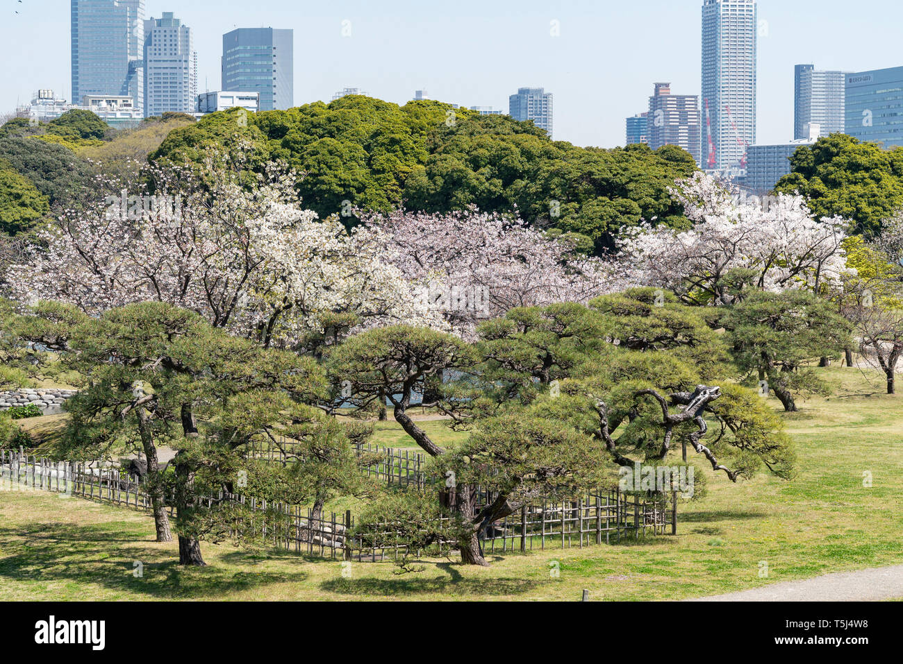 Hamarikyu teien gardens hi-res stock photography and images - Alamy