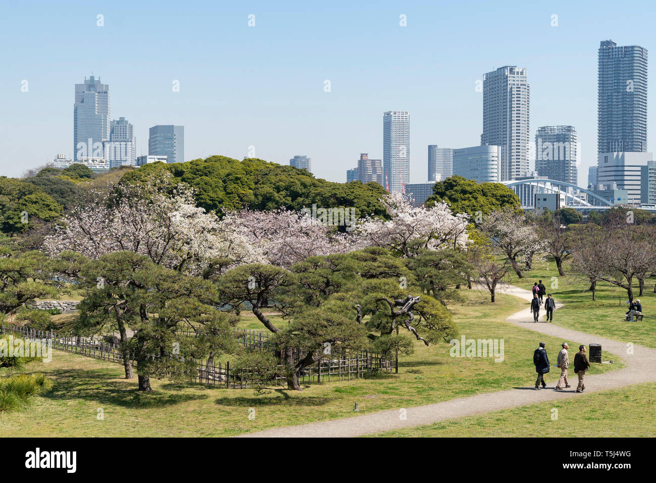 Hamarikyu teien hi-res stock photography and images - Alamy