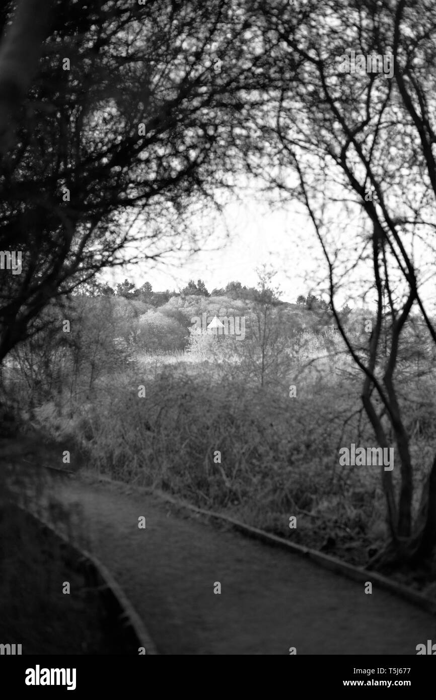 Arched pathway hi-res stock photography and images - Alamy