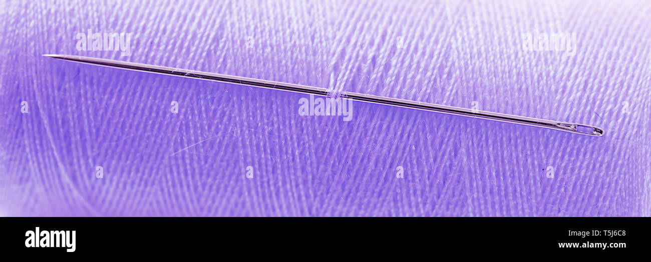 Purple threat with needle, full frame, focus on needle Stock Photo - Alamy