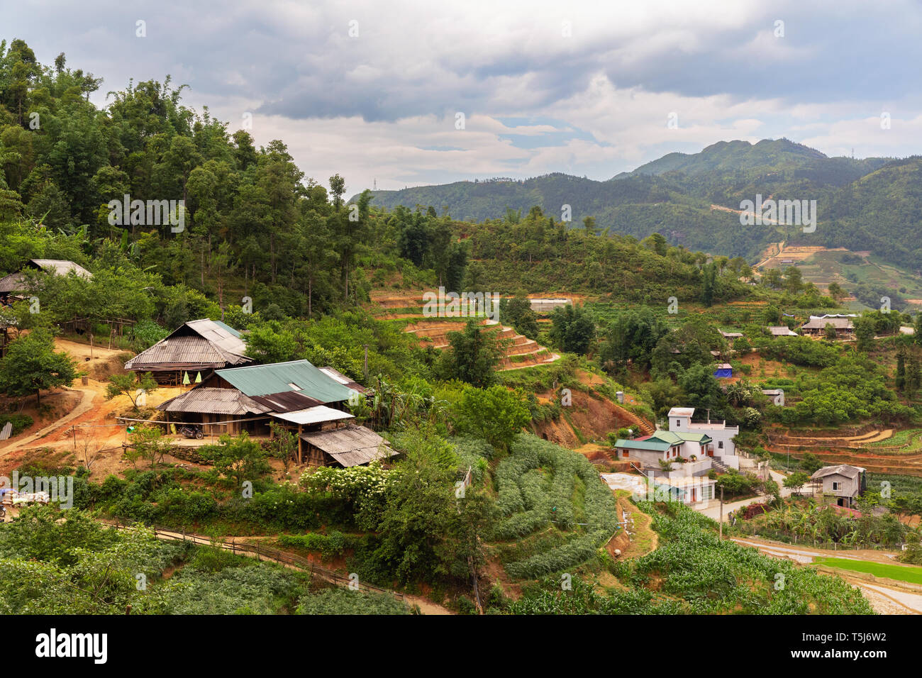 Rural terraced rice field valley landscape in SaPa, Vietnam, Asia Stock ...