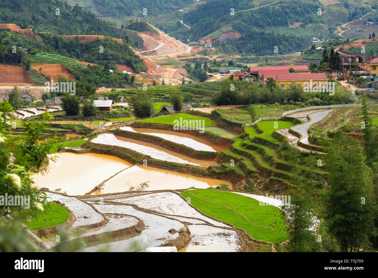 Rural terraced rice field valley landscape in SaPa, Vietnam, Asia Stock ...