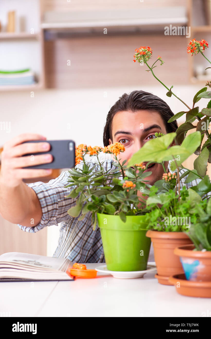Man smartphone flowers home hi-res stock photography and images - Alamy