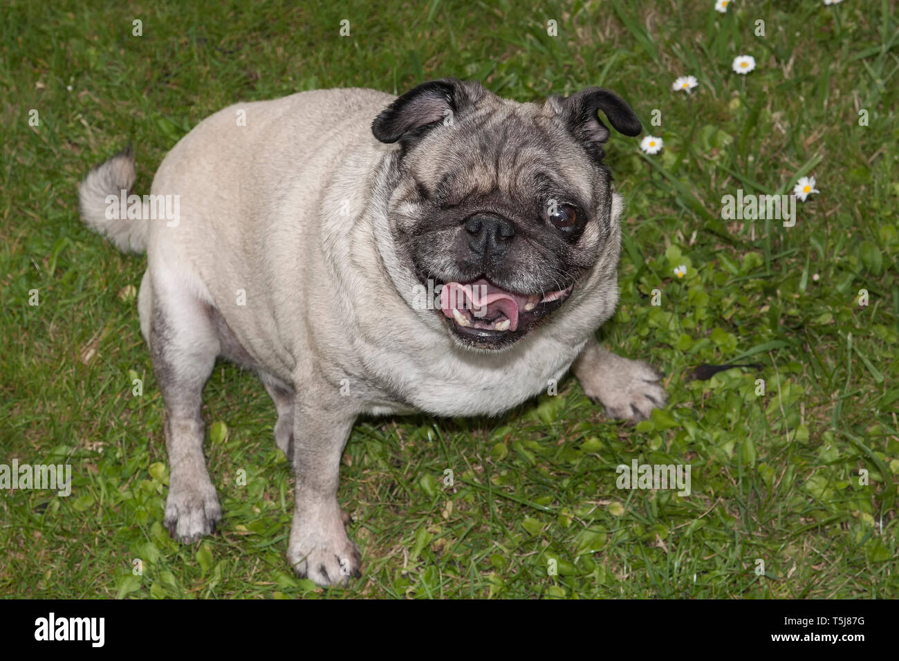 Berlin Syndrome High Resolution Stock Photography and Images - Alamy