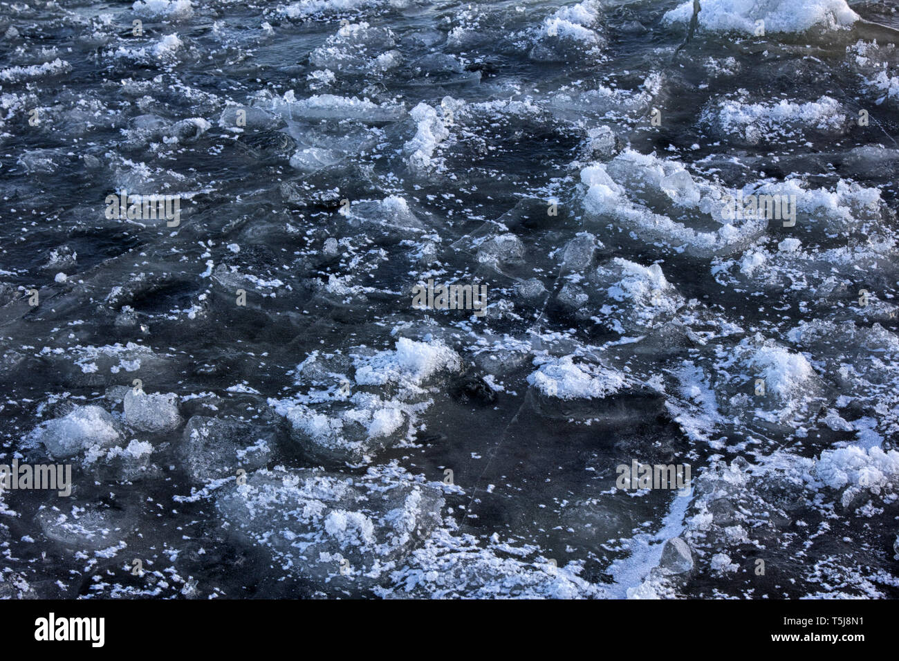 Lily pad ice hi-res stock photography and images - Alamy