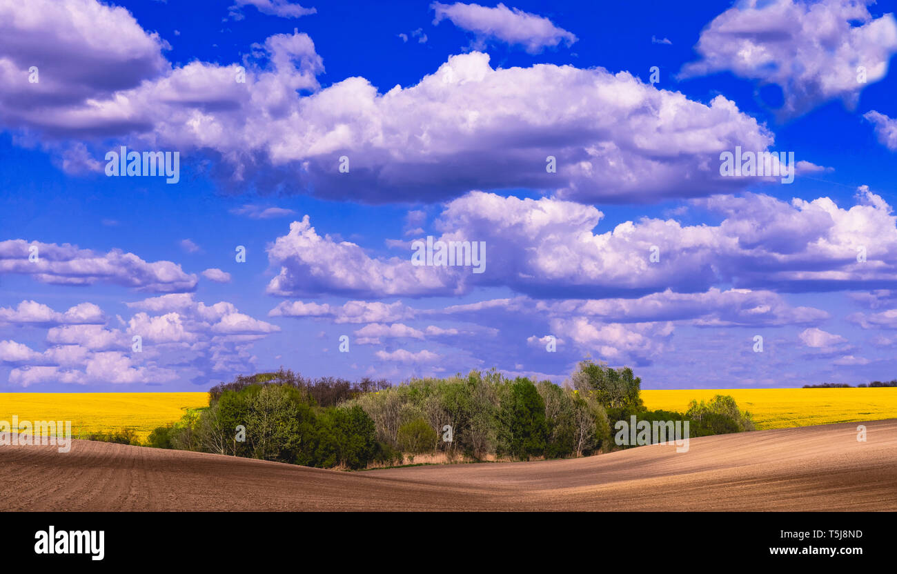 Hungary spring nature photos Stock Photo - Alamy