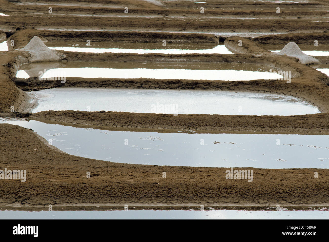 Paddy field fertiliser hi-res stock photography and images - Alamy