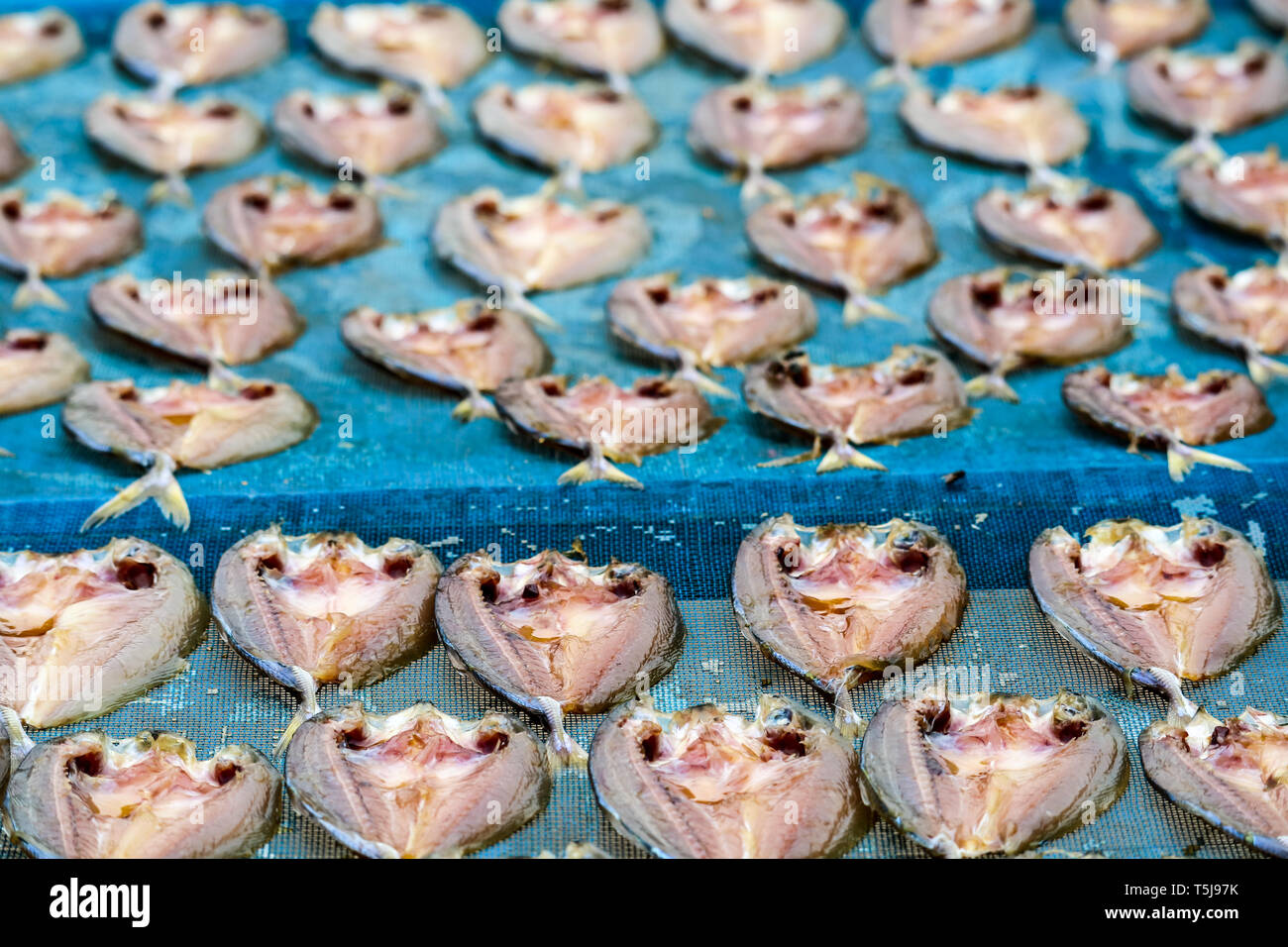 Deep dried fish is a way to preserve. may be risk of infection due to ...