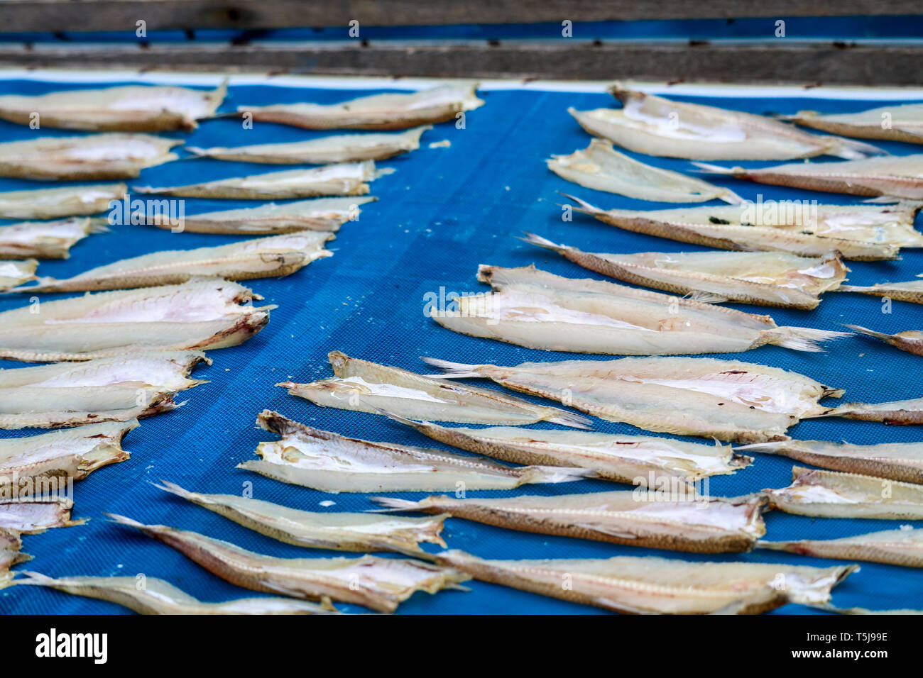 Deep dried fish is a way to preserve. may be risk of infection due to ...