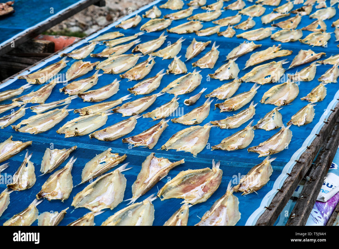 Deep dried fish is a way to preserve. may be risk of infection due to ...
