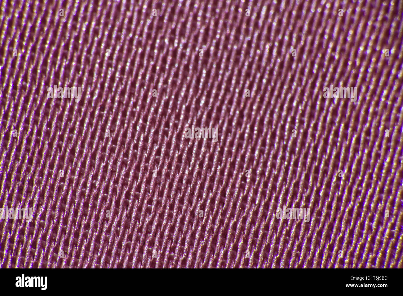 Marco invisible hi-res stock photography and images - Alamy