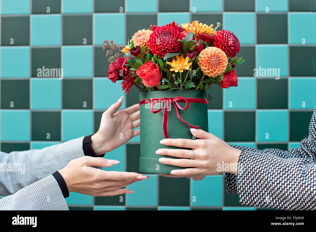 Beautiful woman receiving flowers from hi-res stock photography and ...