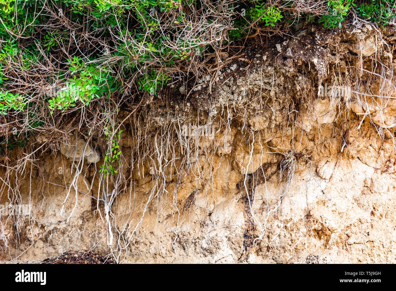 Soil layers earth cross section sand hi-res stock photography and ...