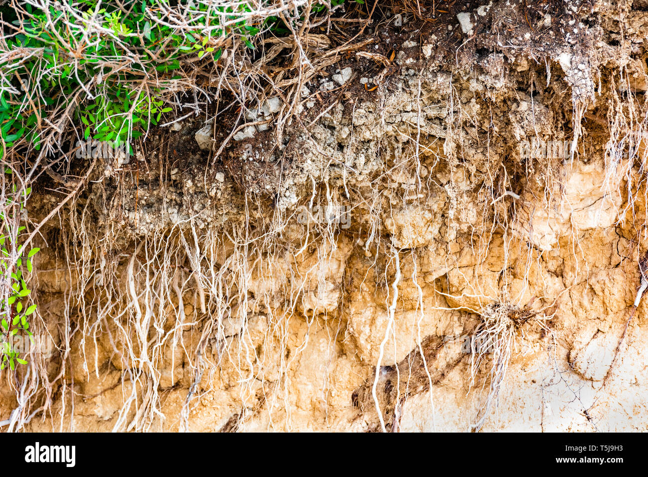 Soil layers earth cross section sand hi-res stock photography and ...