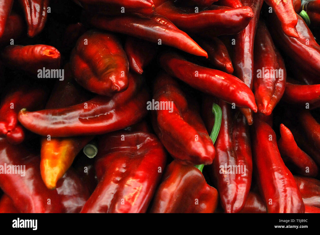 Spicy red chilli peppers for sale Stock Photo - Alamy