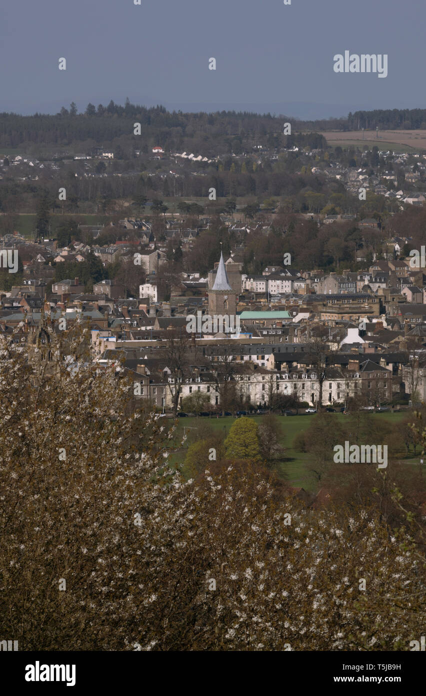 Views of Perth as Spring sunshine awakens nature across the Fair City ...