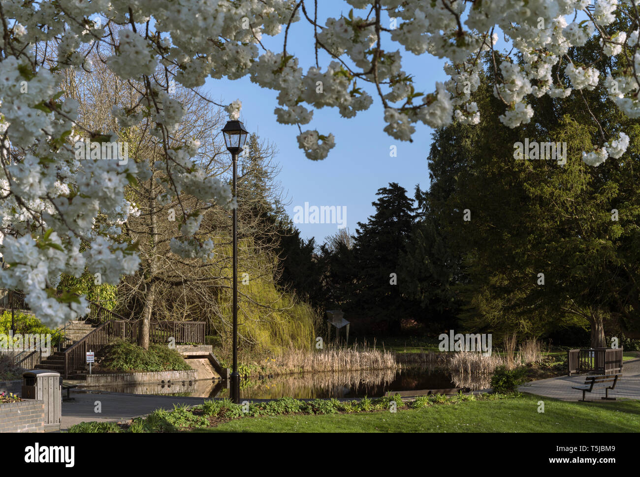 Views of Perth as Spring sunshine awakens nature across the Fair City ...