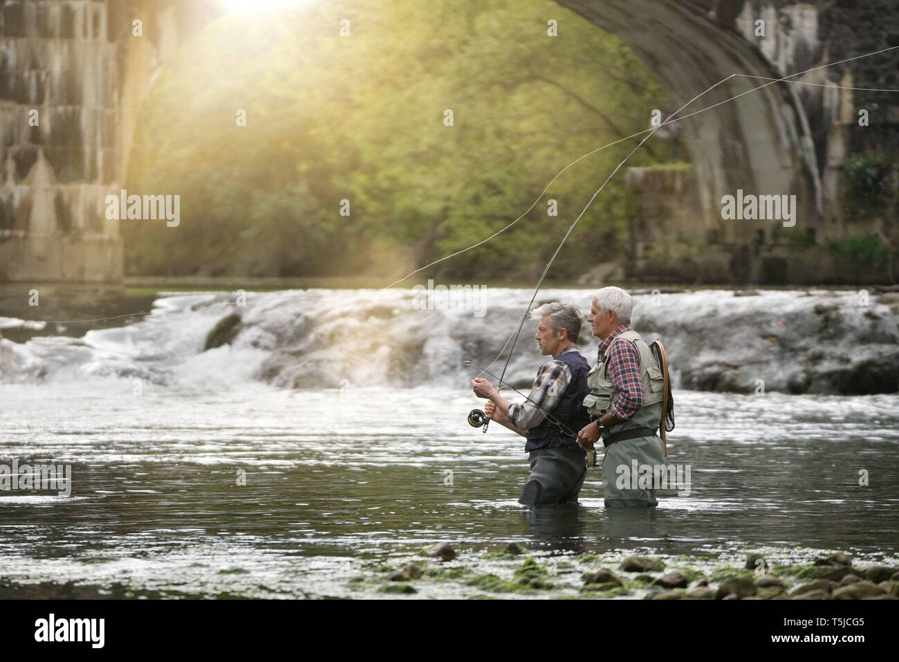 Novice and expert hi-res stock photography and images - Alamy