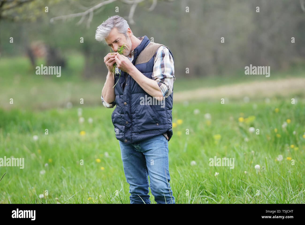 Mature man smelling flowers in countryside Stock Photo - Alamy