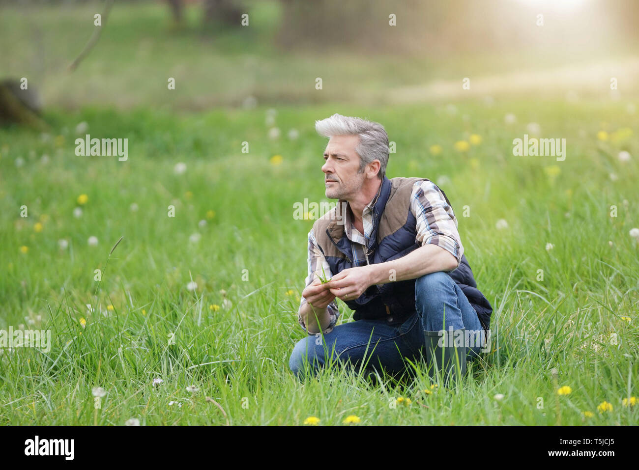 Mature man crouched in field in countryside Stock Photo - Alamy