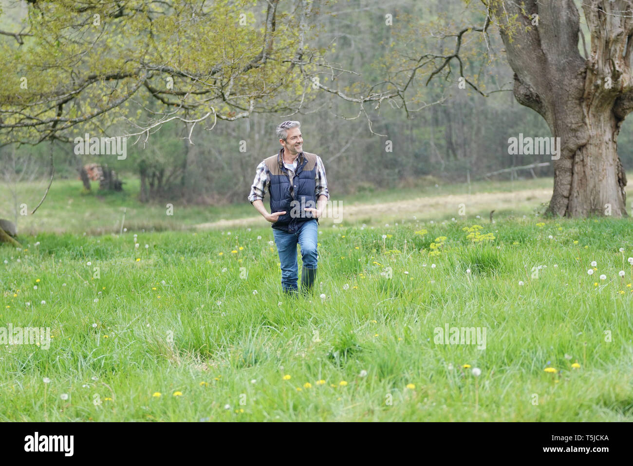 Mature man walking in countryside Stock Photo - Alamy