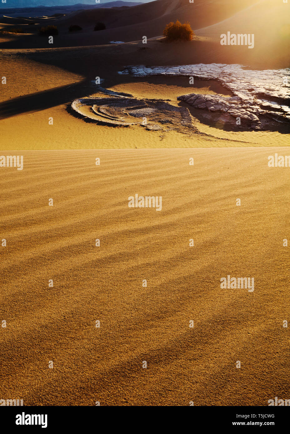 Sand dune and dried mud Stock Photo - Alamy